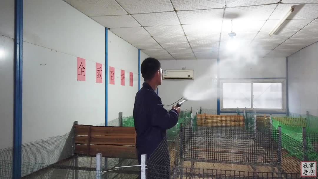 老胡给育苗房最后一次消毒,有设备消毒就是快,效果显著