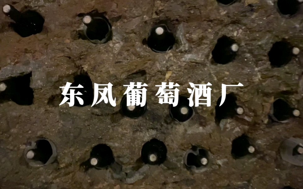 【Day4】日常vlog——西北大学现代学院暑期三下乡—商洛丹凤夏盼...