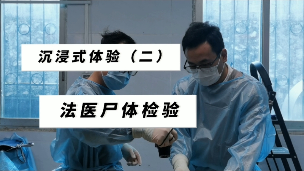 沉浸式体验 法医尸体检验实录:道路千万条,安全第一条!珍爱生命,遵守...