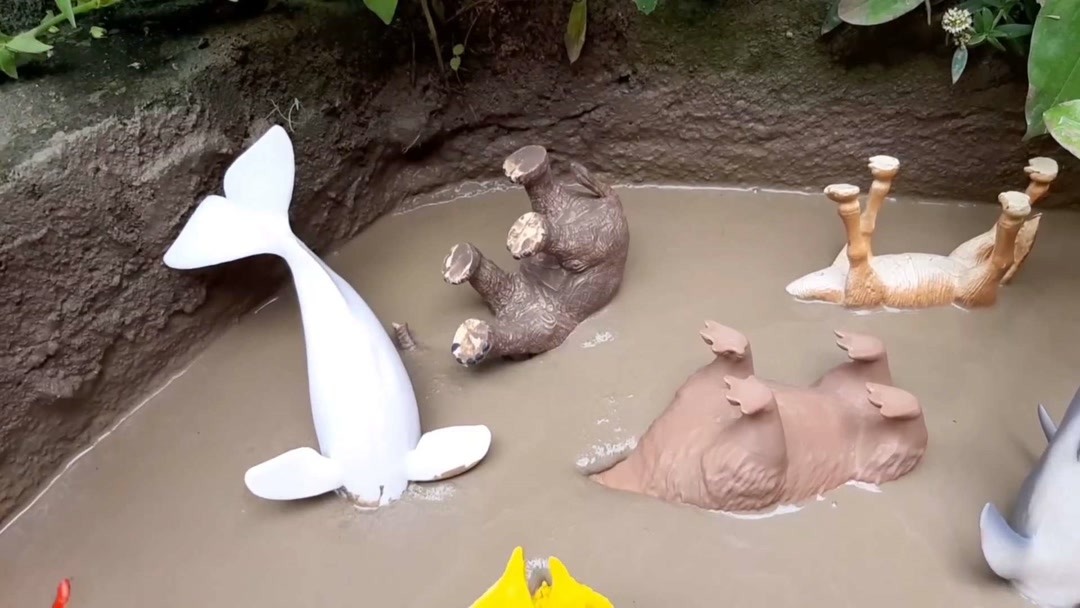 丛林动物世界 第21集 帮助动物