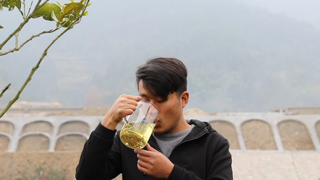 张家界莓茶“黄酮之王”,农村小伙泡茶,喝过的有多少