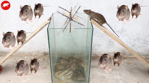 不用电的全自动捕鼠器