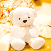 杨春红老师 
