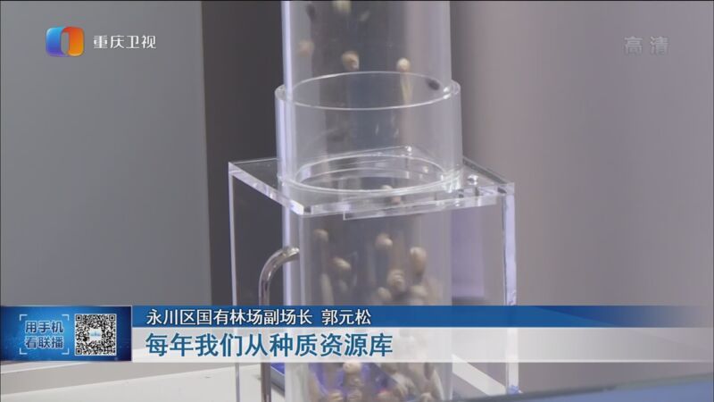[重庆新闻联播]我市建立首批林木种质资源库