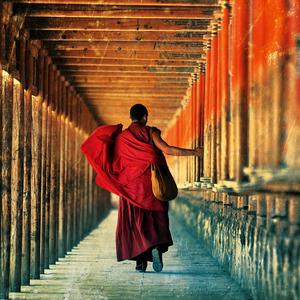 让他回家而体育和条件 