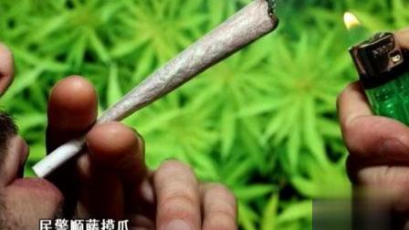 大一小伙竟吸毒贩毒, 被按在地上还狡辩: 这是磨烟器!