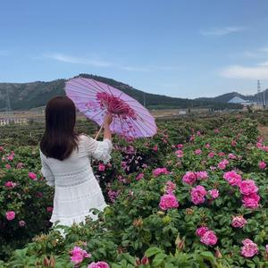 鲁班不上班 