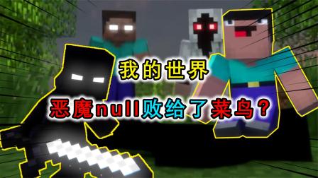 我的世界:null败给了菜鸟?