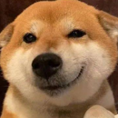 阿荒解说 