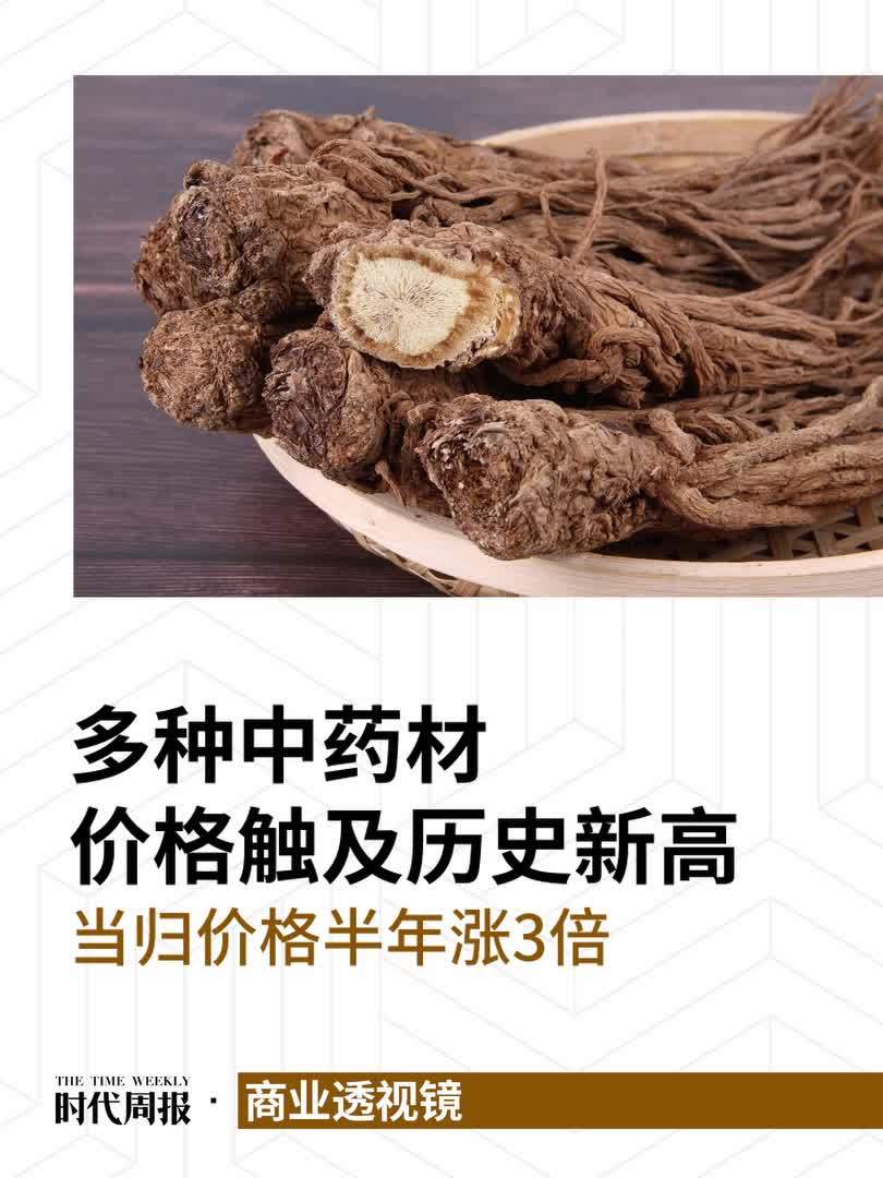 谁在制造"疯狂的当归" 不到半年涨价3倍 #中药 #当归 #中药材