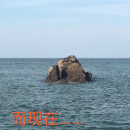 棉花糖游戏视频 