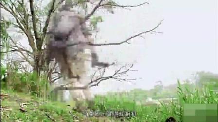 摄影教程视频网 摄影教程 单反的快门速度怎么调
