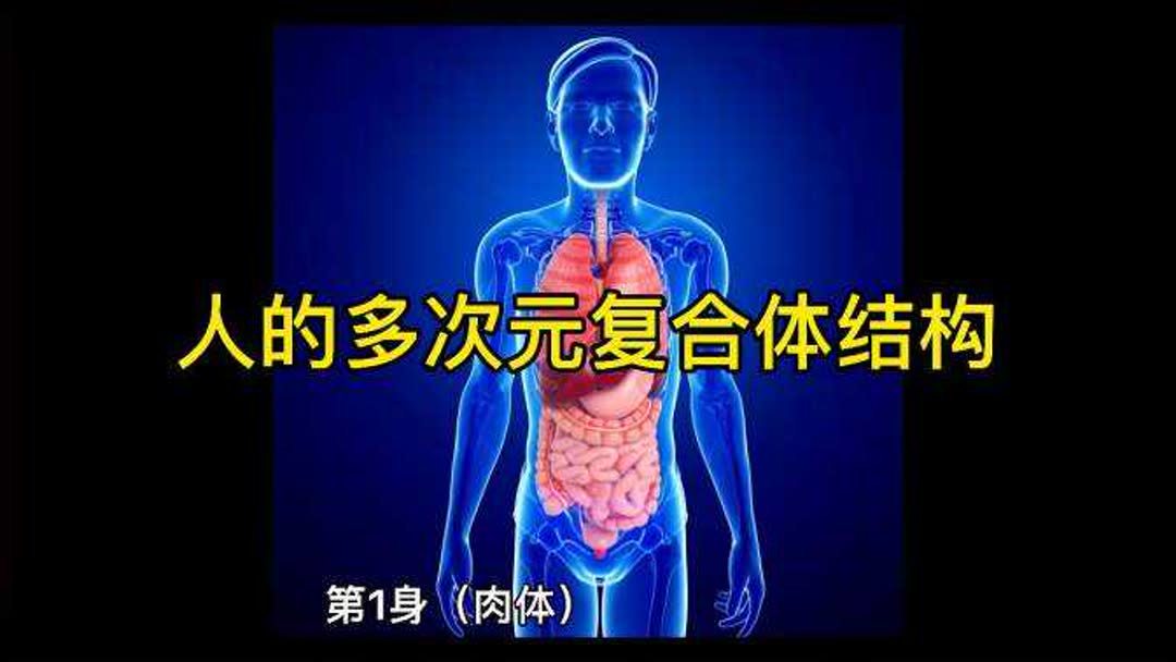人的多次元复合体结构