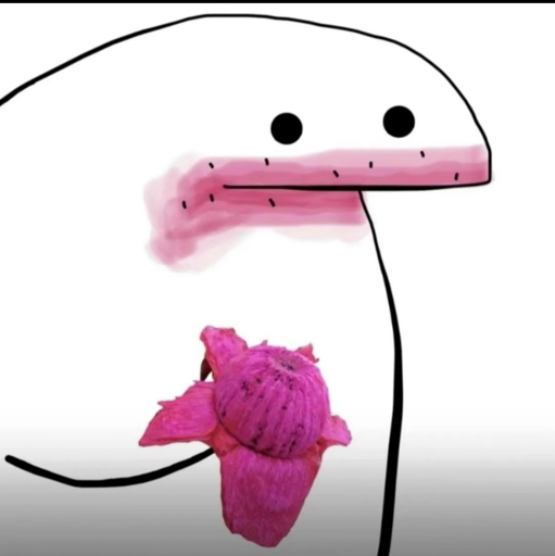 bili_传作业视频 