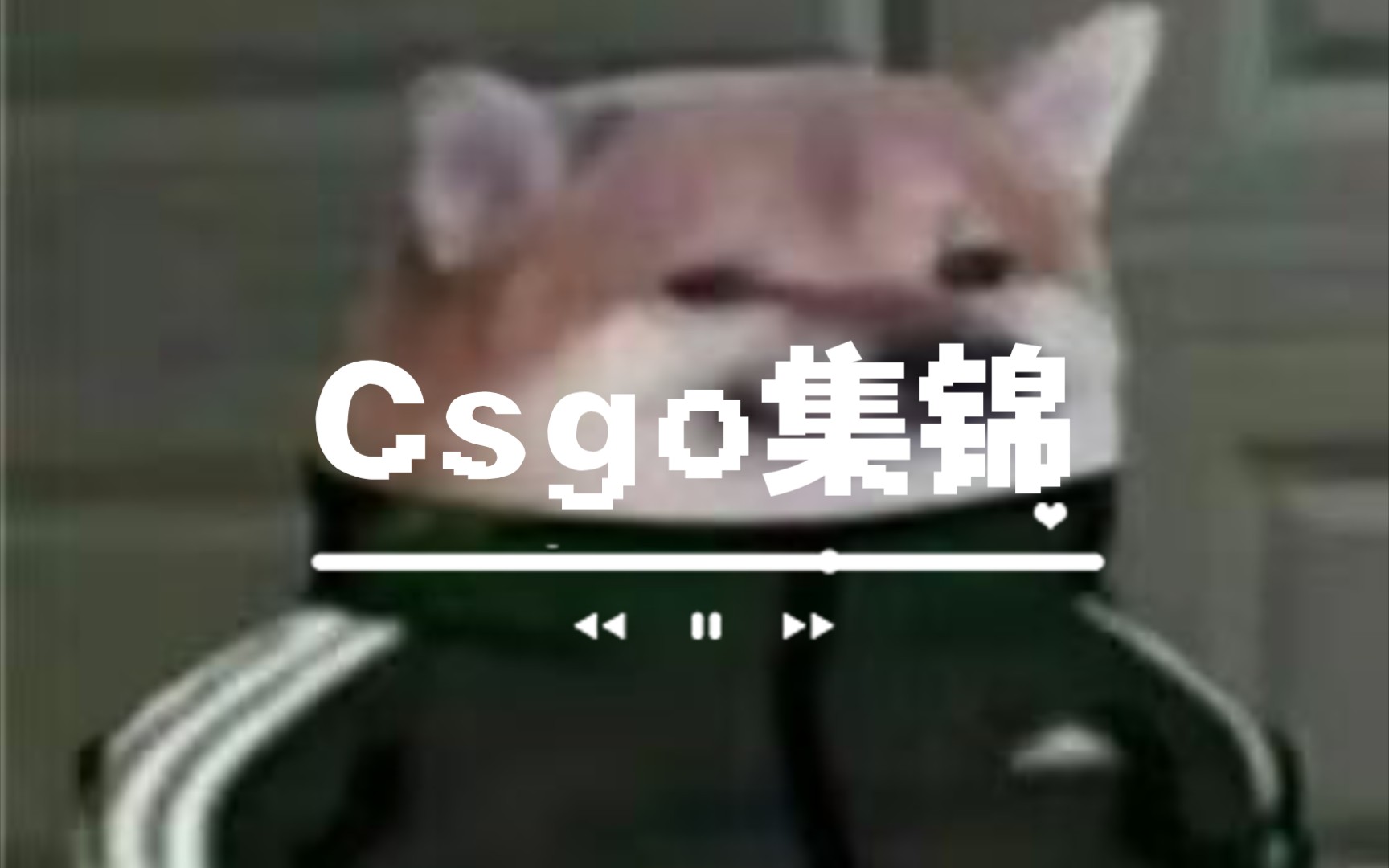 打csgo就要用可爱的滤镜!