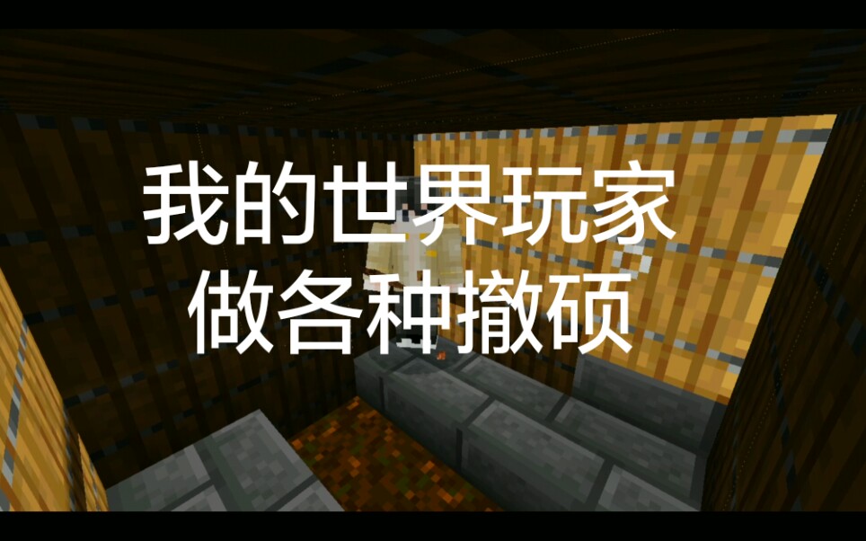 我的世界玩家做各种撤硕