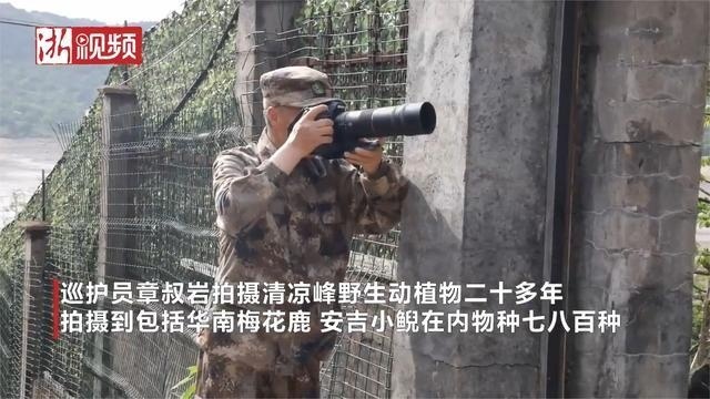 23年巡山 他用影像记录近千种动植物