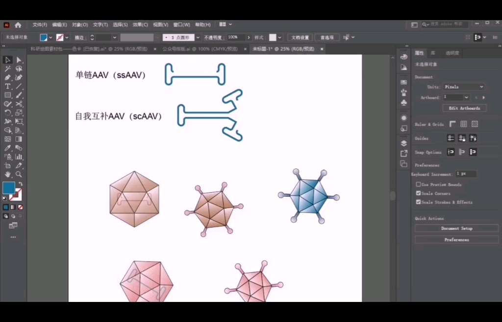 【科研绘图】腺病毒/相关病毒结构示意图的绘制方法