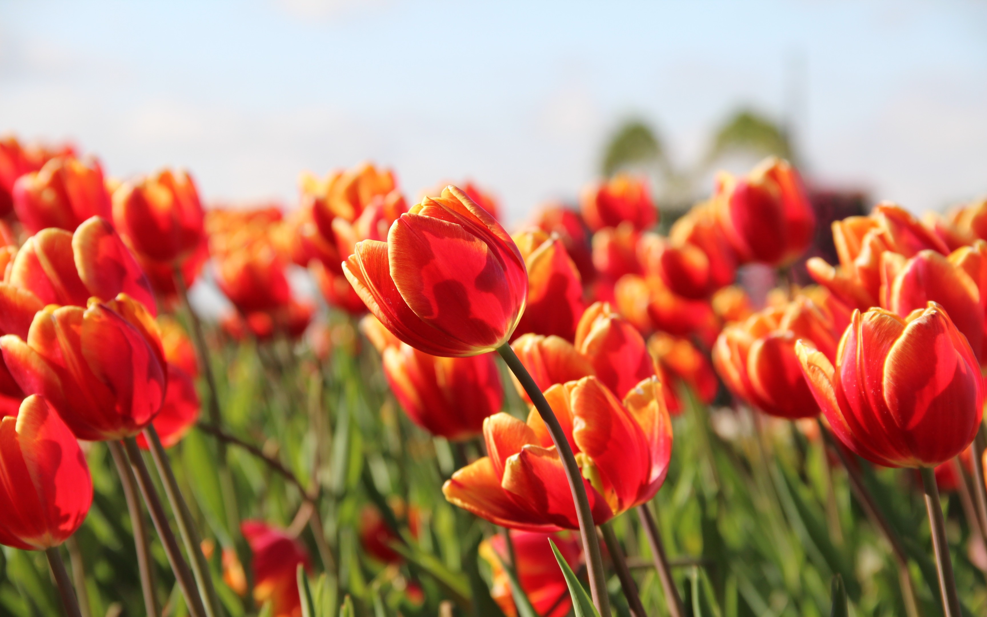 台湾14日自由行不完整记录