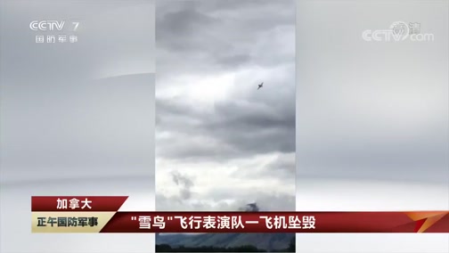 [正午国防军事]加拿大 “雪鸟”飞行表演队一飞机坠毁