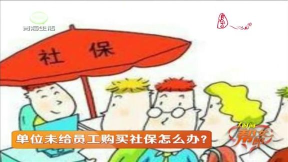 入职后单位一直没给员工购买社会保险,损失由谁来赔偿