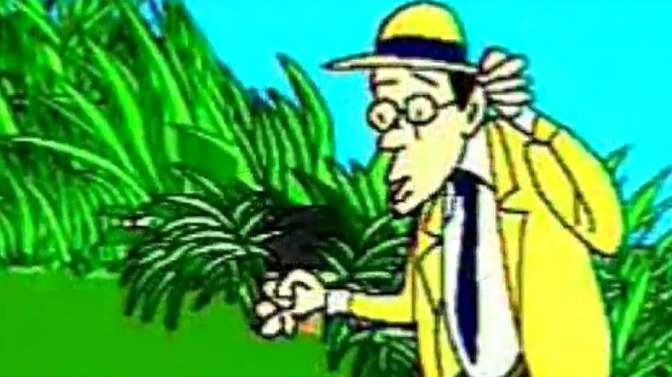 四年级语文第十一课,课文朗读蟋蟀的住宅,快来一起学习吧!