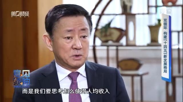 对话樊纲:双循环,构建“十四五”新发展格局丨意见领袖