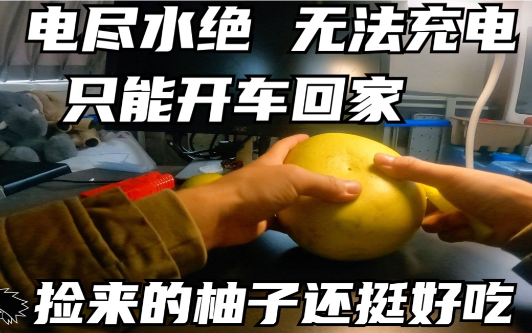 房车自驾旅行电尽水绝无法充电 只能开车回家 捡来的柚子还挺好吃