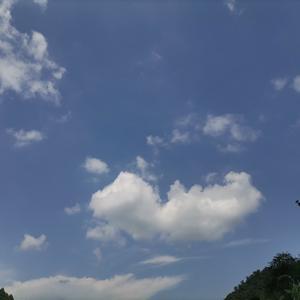 才思敏捷骄阳似火 