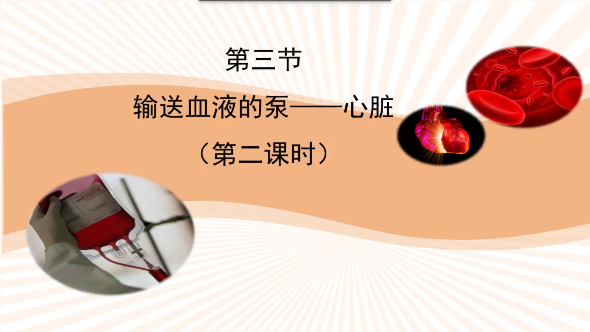 七年级生物下册第四章心脏第二课时