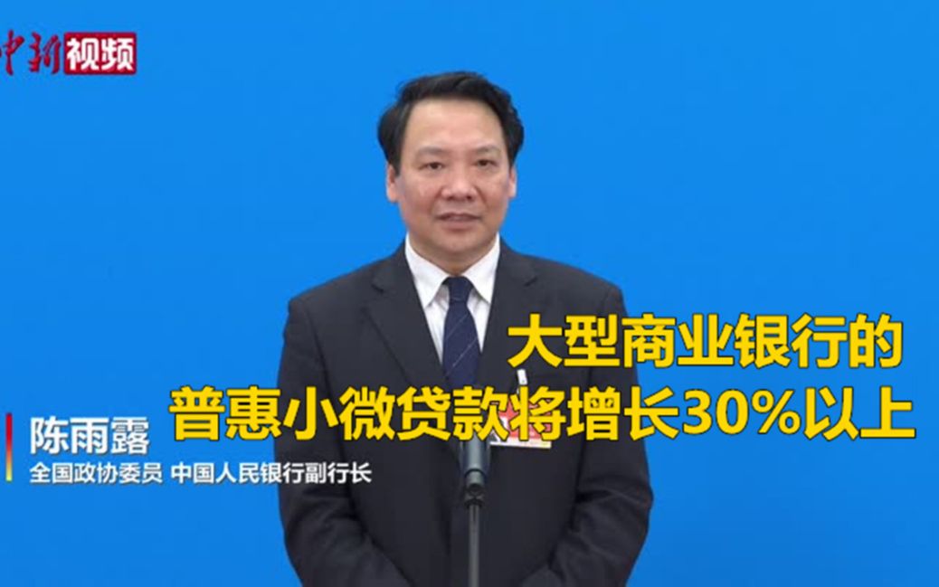 陈雨露:大型商业银行的普惠小微贷款将增长30%以上