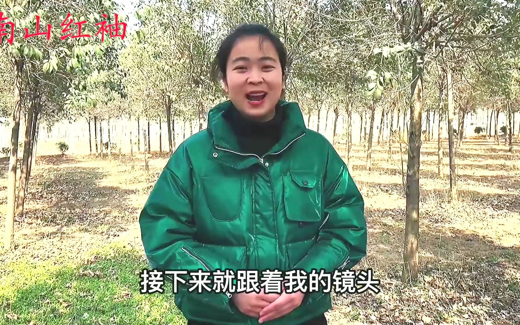 双肾草被称为野菜中的“蓝精灵”,有啥好价值?今天终于弄明白了
