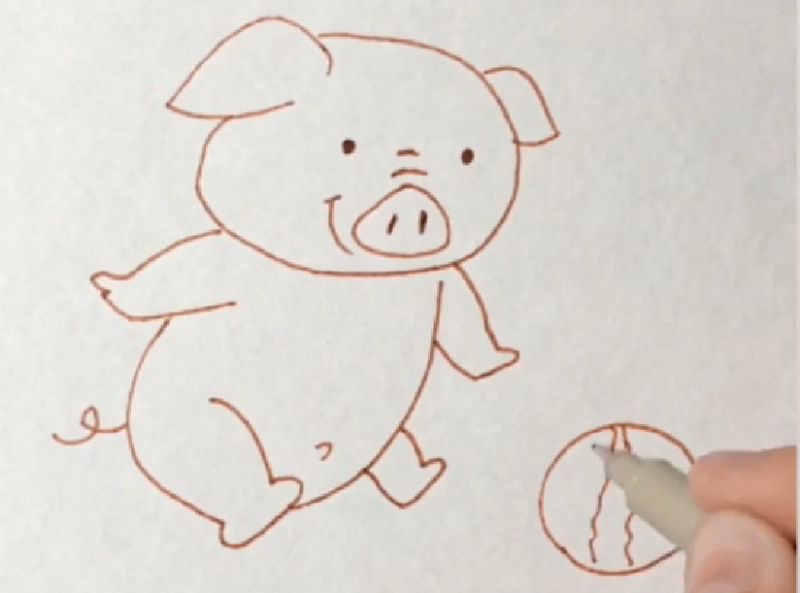 绘画小教程,简笔画可爱的小猪,简单易学