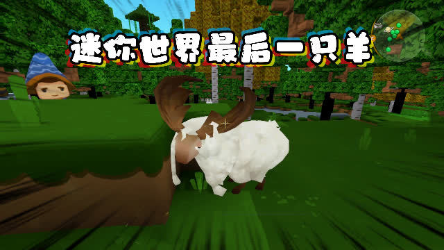 迷你世界最后的羊,伙伴们以后再也吃不上羊肉啦