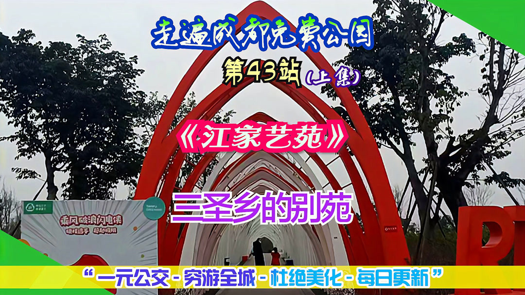 走遍成都免费公园第43站:几十米高的白色大树,又高又直还没皮
