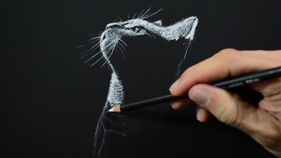 萌死人不偿命的猫咪 猫星人素描姿态不容错过