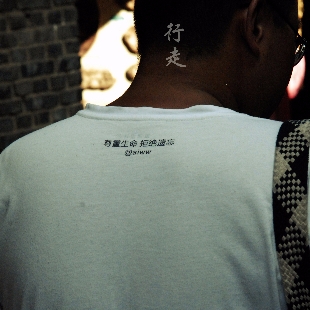 zhaiguilin 