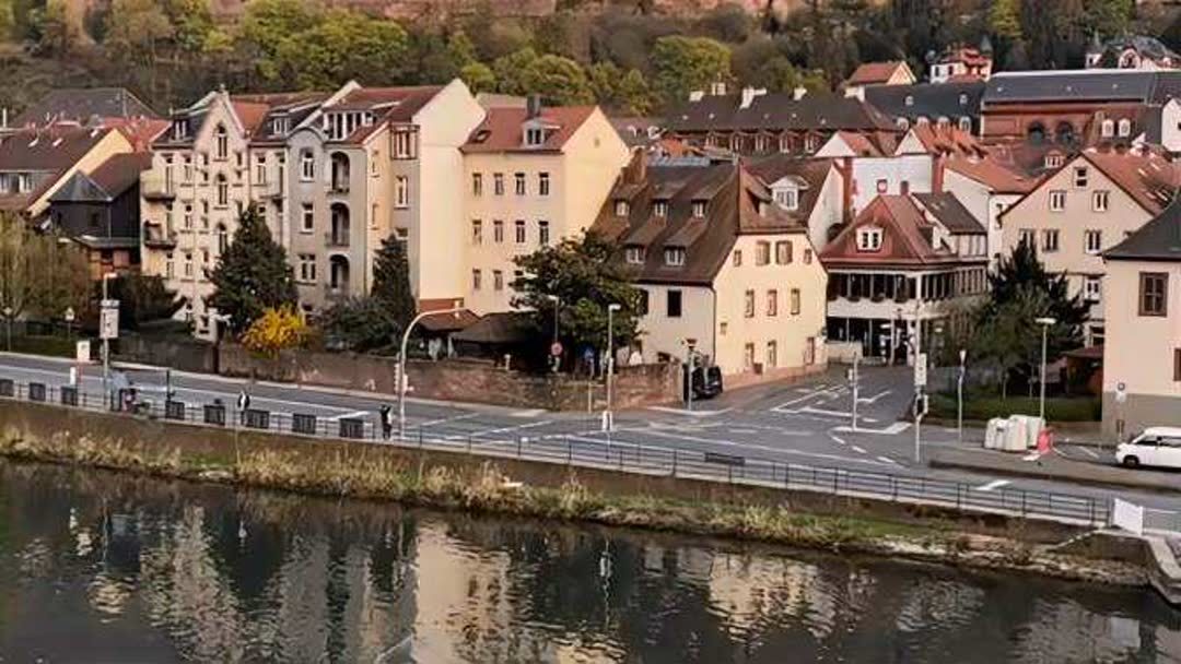 这里是德国历史名城海德堡,在这座桥边发现了天鹅!