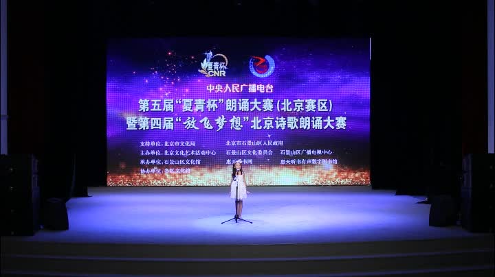 小学生诗歌朗诵比赛视频第四届放飞梦想诗歌朗诵大赛视频刘彦彤