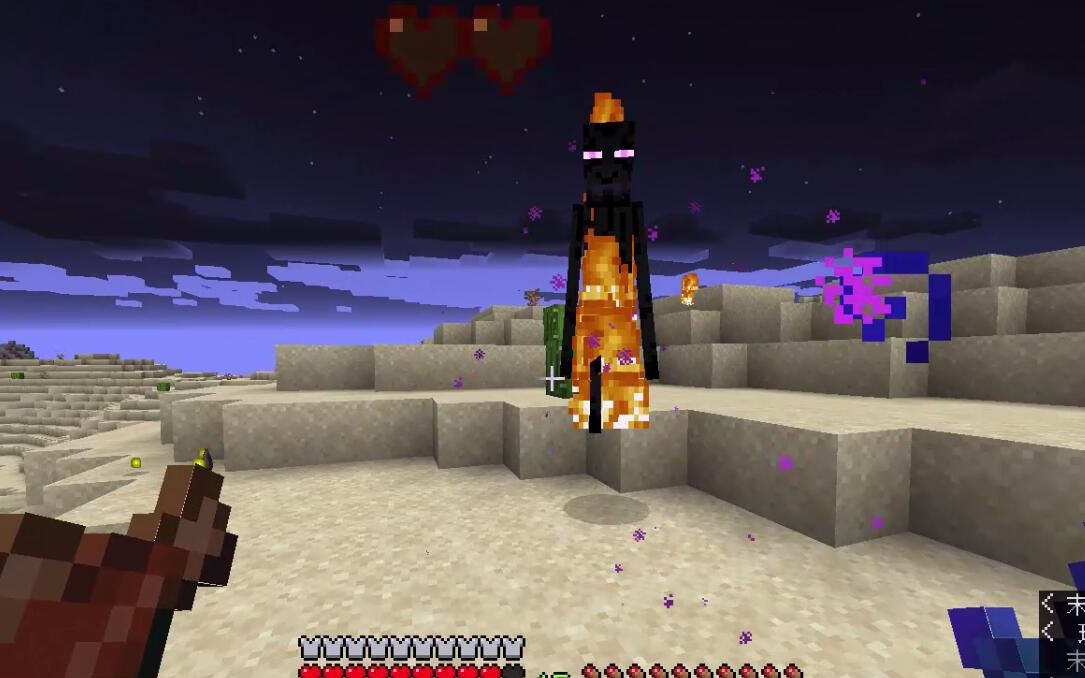 我的世界1.14生存53:晚上出来刷末影珍珠,打了两晚才得到3颗!