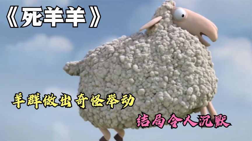 羊群做出异常举动,结局让人沉默