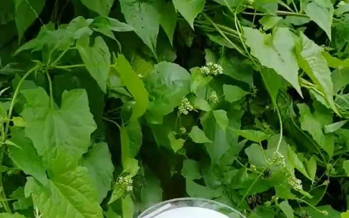 工厂批发香薰led小夜灯小型雾化消毒机亚马逊迷你usb加湿器自制香薰机