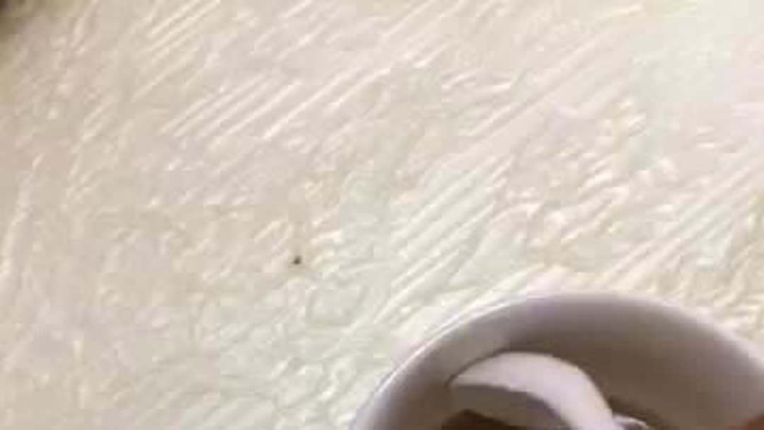 忆荷塘藕粉的正确冲泡方法