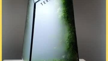 老外基于自然的土地设计出的微型生态系统