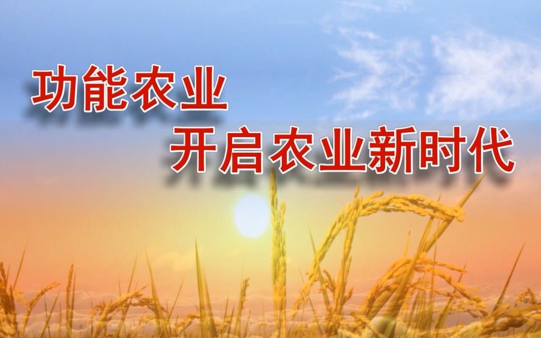 2020硒谷功能农业专题视频