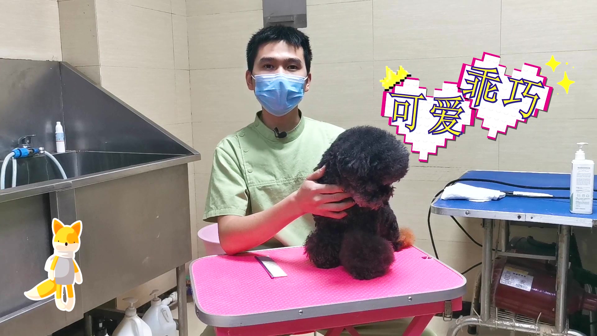 在家不知道怎么给狗狗洗澡?别急,专业美容师教你