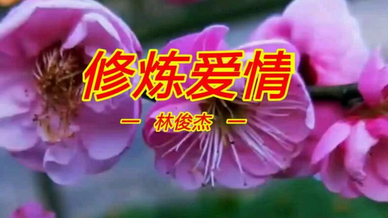 网络热歌《修炼爱情》,林俊杰演唱