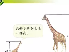 小数的读法和写法