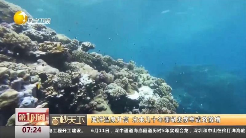 英国气温今年首次冲上30摄氏度 皇家卫队士兵热晕