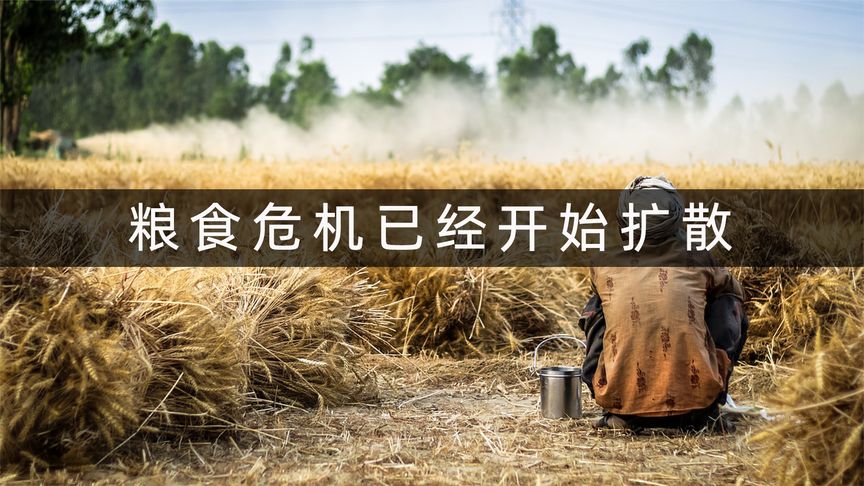 粮食危机在俄乌战争冲突下已经开始扩散,对我国会有影响吗?